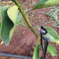 China 360 Degrees Agricultural Water Sprinkler Normal Style for Micro Sprinkler Irrigation for sale