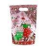 China Custom Christmas Plastic Gift Bags 20-190mic Thickness with Zipper Seals | ISO Certified Manufacturing for sale