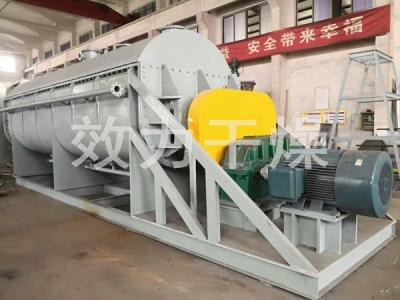 China Hot Air Paste Materials Paddle Dryer System Low Environmental Pollution for sale