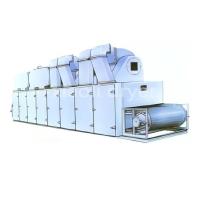 China DW Series Single Layer Continuous Mesh Belt Dryer Industrial Drying Machine For Food Dehydration for sale
