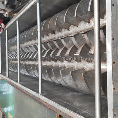 China Food Processing Hollow Paddle Dryer Industrial Equipment Highly Efficient for sale