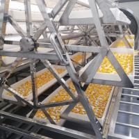 China 24KW Commercial Microwave Vacuum Dryer Pineapple Mango Dehydrator Oven for sale