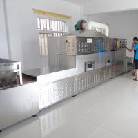 China 1000mm Belt Continuous Tunnel Dryer Microwave Sterilizer Industrial Drying Machine for sale