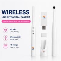 China Wireless USB Intraoral Camera for Dental Inspection, HD Dental Endoscope with 5G WiFi, Plug & Play Oral Camera Compatible with PC and Mobile Devices for sale