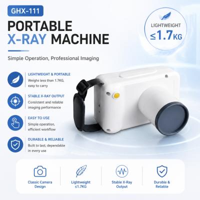China HTTP Protocol Required Intraoral Dental X-ray Machine Ensuring Fast Digital Image Capture and Secure User Authentication for sale