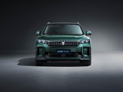 China 2024 Dongfeng Voyah Free Electric SUV 4WD 1.5T Max Speed 200KM/h Auto Gear New Energy Vehicle Lantu Free for Sale for sale