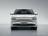 China Dongfeng Nano 01 New Energy Vehicle with Comfortable Interior EV Energy Type and 5-Seater Mini Car for sale