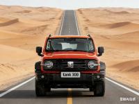 China HOT SALE 2025 Tank 300 330 3.0T V6 TANK 300 gasoline cars China SUV for sale