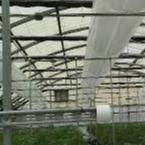 China A53 EN10210 Hot Dipped Galvanized Steel Pipe Q195 Q235 SS400 DN15 DN40 for sale