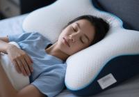 China Get the Best of Both Worlds with Baby Memory Foam Pillow Pressure Relief and Long-Lasting Comfort for sale