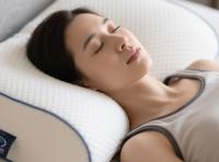 China Experience the Durability of Butterfly Memory Foam Pillow for Better Sleep for sale