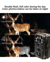 China 4K Dual Flash Wildlife Trail Camera 56MP Color Night Vision IP68 Waterproof For Hunting Security Monitoring for sale