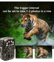 China 4K Dual Flash Wildlife Trail Camera 56MP Color Night Vision IP68 Waterproof For Hunting Security Monitoring for sale