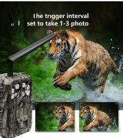 China 56MP Color Night Vision Trail Wildlife Camera 4K Dual Flash Trail Camera With 0.3s Trigger  IP68 Waterproof for sale