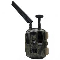 China Real Time Video & GPS 1080P IR Trail Wildlife Camera  For Remote Security Monitoring for sale