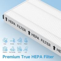 China FV-10VE1 FV-10VEC1 FV-10VEC2  Projector Dust Air Filter Hvac Filter Merv 8 Merv13 for sale