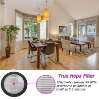 China High Efficiency H13 HEPA Air Purifier Filter with Activated Carbon and Customizable Size for sale