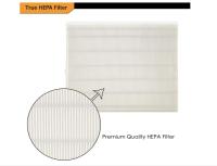 China Customized Size Air Purifier Replacement Filter with Activated Carbon and Hepa Filter for sale