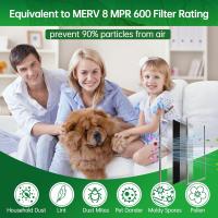 China Electrostatic Reusable Air Filter with MERV 8 Rating and Activated Carbon for HVAC Systems for sale