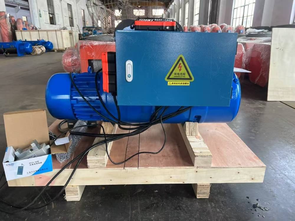 Electric hoist