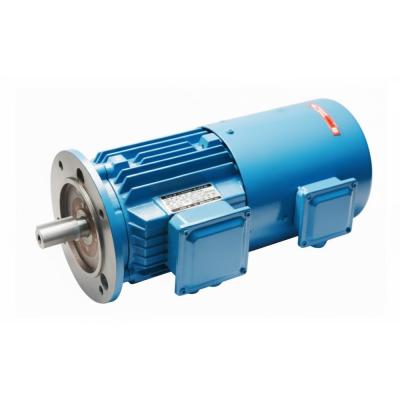 China Metallurgy Crane VFD Motor 0.37-90kW – YZP Series for sale