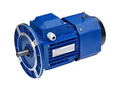 China YEJ Series Brake AC Motor – 0.12-22kW, 1000-3000 RPM for sale