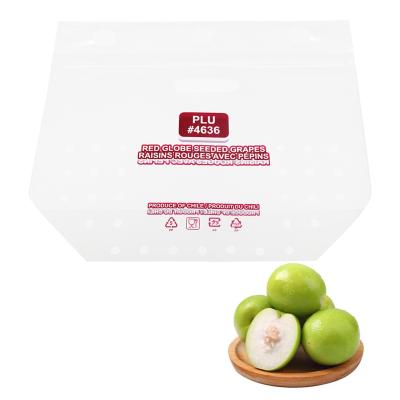 China Simple And Atmospheric Recyclable Fruit Printing Packaging Bags Clear PVC Stand Up Zipper Bag for sale