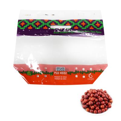 China Luxury Customized Printing Logo Anti Fog Fresh Vegetables Fruits Plastic Packaging Bags Pouches for sale