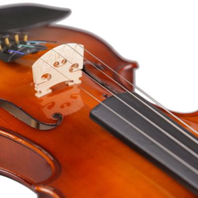 China Musical instruments high end deviser 1/2 1/4 4/4 solid spruce maple back&side violin constansa group violin seller for sale