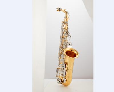 China Professional Woodwind Instrument Alto Saxophone How much does a professional alto saxophone cost? for sale