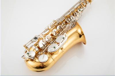 China Black Nickel Plated Brass Alto Instrument Accessories Professional Eb OEM China Sax Saxophone Alto  Constansa Instrument for sale