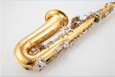 China constansa brand saxophone Alto Saxophone E-flat Saxophone Professional Learning Playing Instrument JBAS-240 for sale