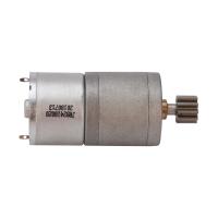 China 0.54A Micro Metal Gear Motor 25mm 12V 24V Parallel Shaft DC Gearmotor ROHS for sale
