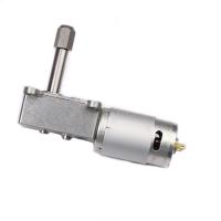 China Customized Micro DC Worm Gear Motor 12V Gear Reduction Motor 0.17A Current for sale