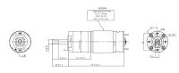 China 36 Mm Dimension Box Micro Metal Gear Motor With Rated Load Speed Of 140±10% Rpm for sale