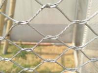 China Transparent SS Rope Mesh 304 304L 316 316L Rust Resistant For Balustrades for sale