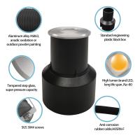 China Recessed Mini Deck Light 12V 24V 1W 2W LED Single Color DIA 38MM For Garden Square for sale