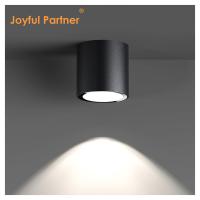 China IP65 Ceiling Light Surface Mounted DIA88MM 6000K Cool White Aluminum For Front Porch Garden for sale