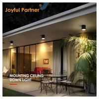 China IP65 Ceiling Light Surface Mounted DIA88MM 6000K Cool White Aluminum For Front Porch Garden for sale