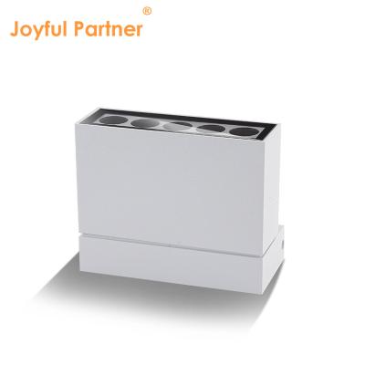 China Wall Mounted Garden Courtyard Lights 10W Black White Housing Color Waterproof IP65 for sale