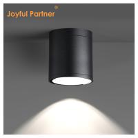 China 15W COB LED Downlight Cylinder DIA110MM Screw Fix Extruded Aluminum Alloy Housing For Outdoor Application for sale