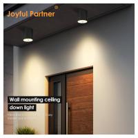 China Outdoor Led Yard Lights AC220V Warm White 3000K Aluminium Material 15W LED COB For Gate for sale