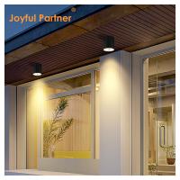 China Outdoor Wall Mounted Cylinder Lamp Black Housing Cree COB Led 15W 3500k For Outdoor Garden for sale