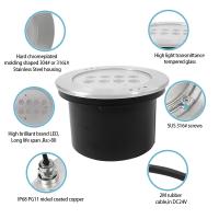 China Led Pool Lights Under Water RGBW IP68 SS316 DIA200mm Waterproof CE ROHS IP68 Multi Color DC24V for sale