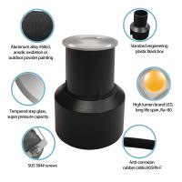 China LED Underground Lights 3W AC100-240V CREE LED Stainless Steel 316 Cover CE RoHS Factory OEM for sale