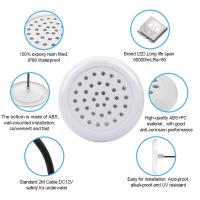 China Pool Led Swimming RGB IP68 Waterproof Fully Glued DC12V 25W UV Resistant With Remote Control for sale