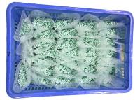 China REACH Slight Green 120 Degree 2.5mm Nylon Cable Ties for sale