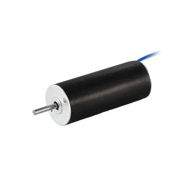 China Custom Slotless Brushless Motor 12mm 6.5W 25310rpm Coreless DC Motor For Medical Pumps for sale