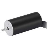 China High Speed 22mm Slotless Brushless Motor 48V Coreless BLDC Motor 22W 13641rpm for sale