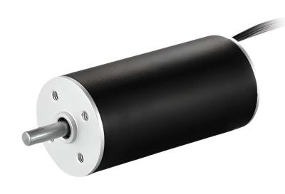 China 22mm Slotless Brushless DC Motor 36V 16768rpm Customizable Lightweight for sale